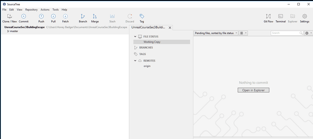 Problems with Git and SourceTree - Talk - GameDev.tv