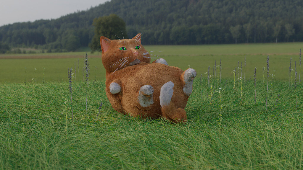 An incredibly fat cat - Show - GameDev.tv