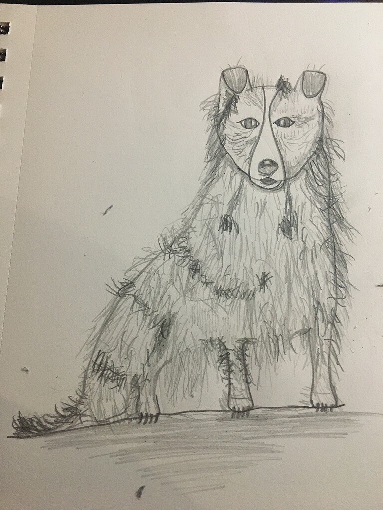 First drawing ever, feedback appreciated - Show - GameDev.tv