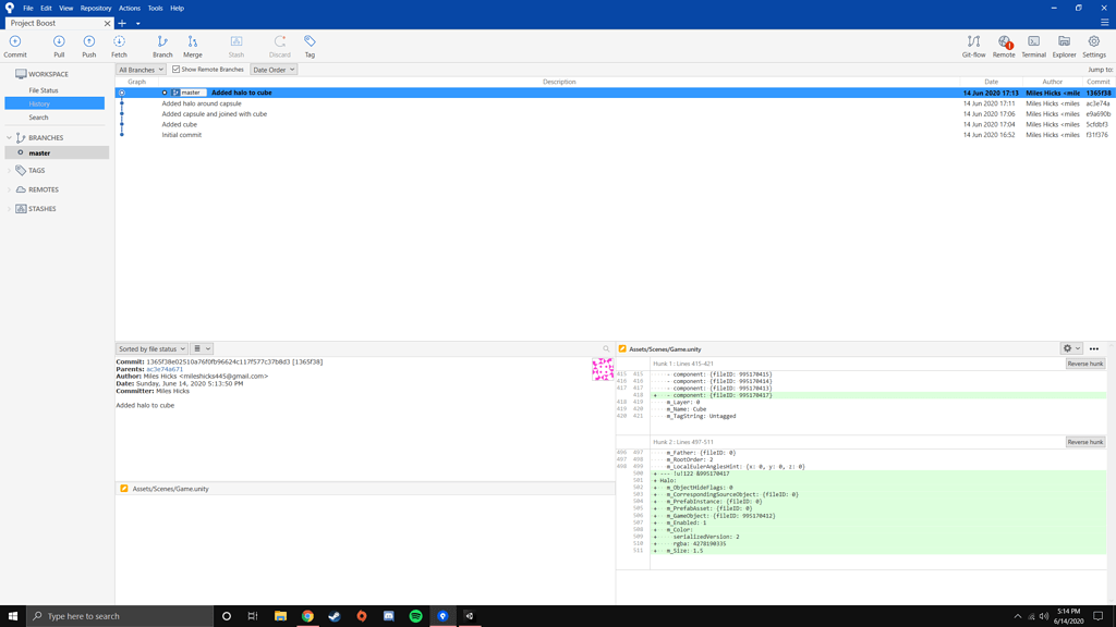 SourceTree Screenshot - Show - GameDev.tv