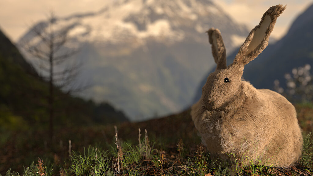 Mama Rabbit - Final Render - Talk - GameDev.tv