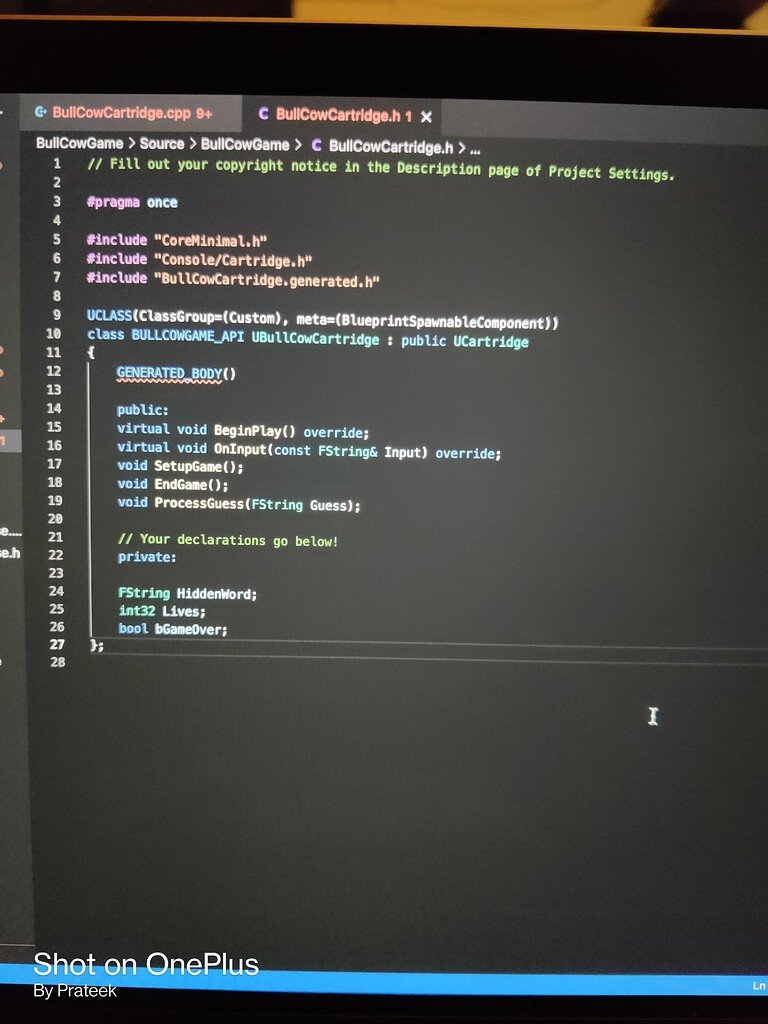 Regarding the code in the header file - Ask - GameDev.tv