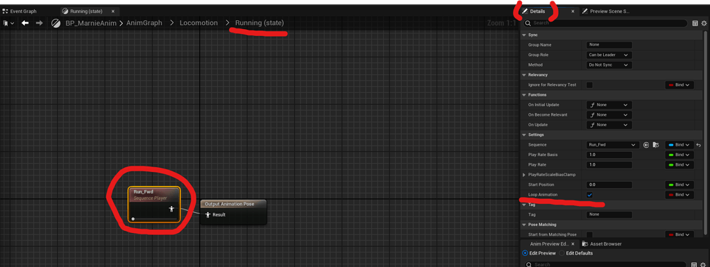 UE5 - Anim not looping - Show - GameDev.tv