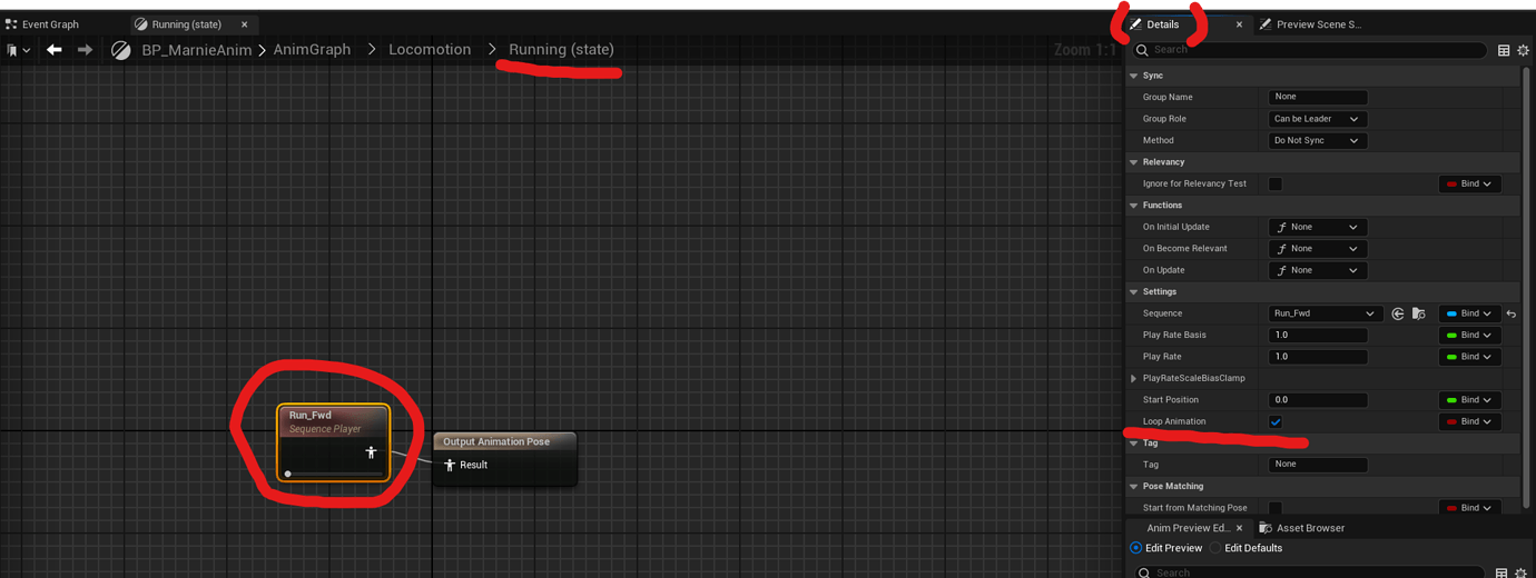 UE5 - Anim not looping - Show - GameDev.tv
