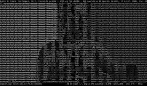 First Function with ASCII art - Show - GameDev.tv