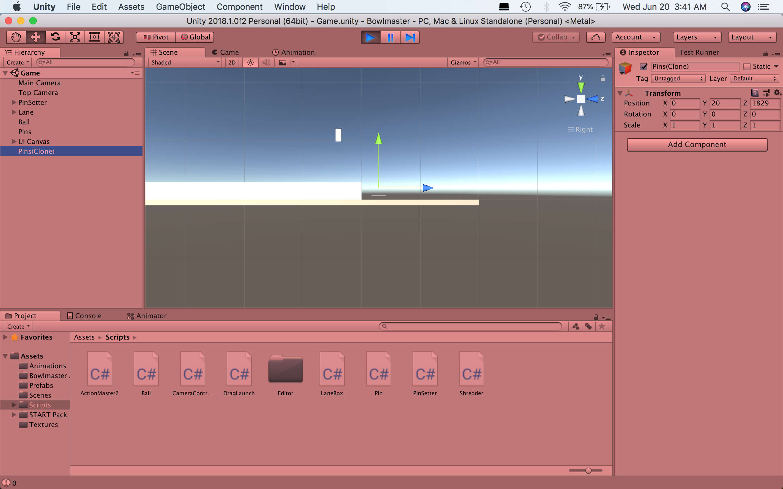 [Solved] Problem with Pins on Reset - Talk - GameDev.tv