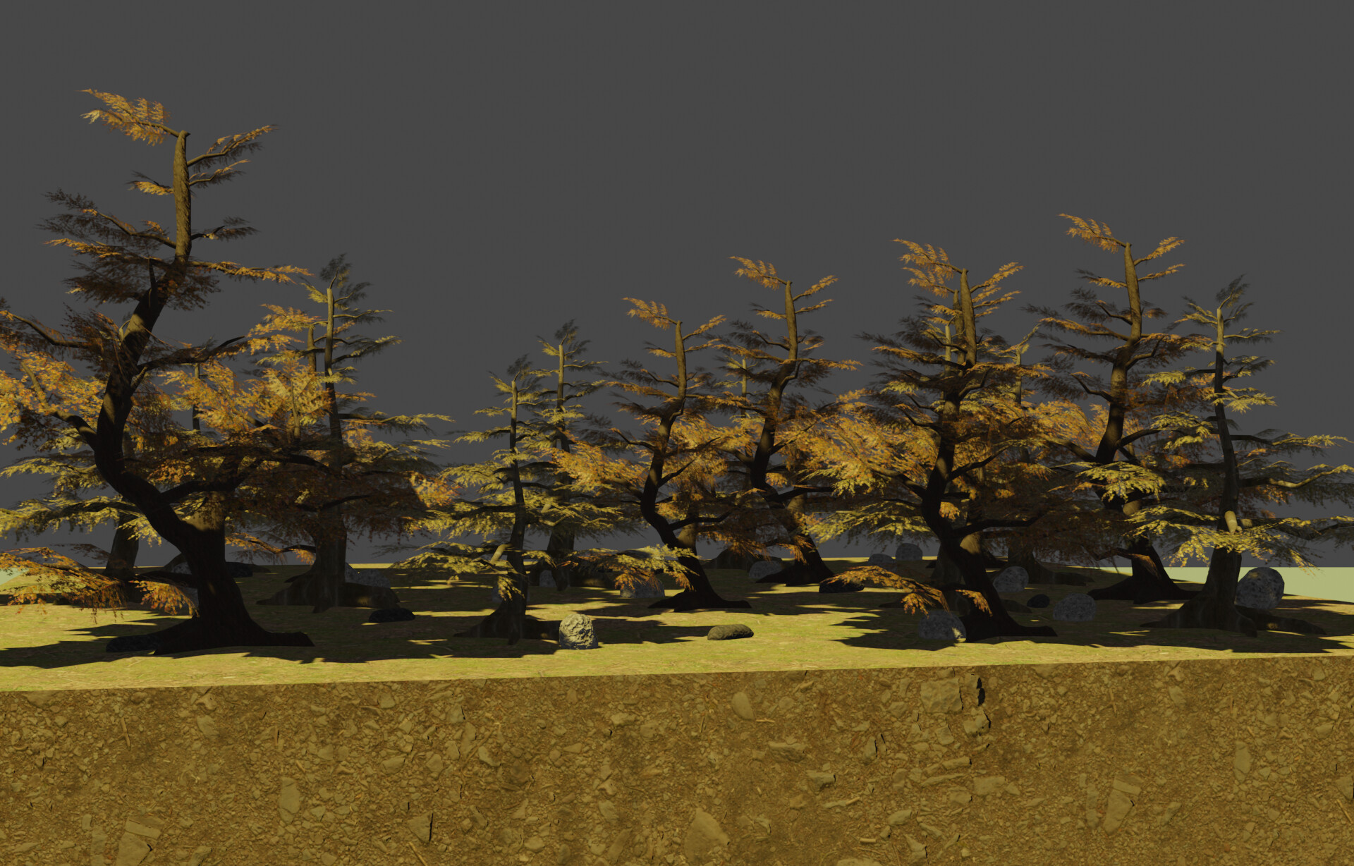 My forest scene with rocks and trees - Show - GameDev.tv